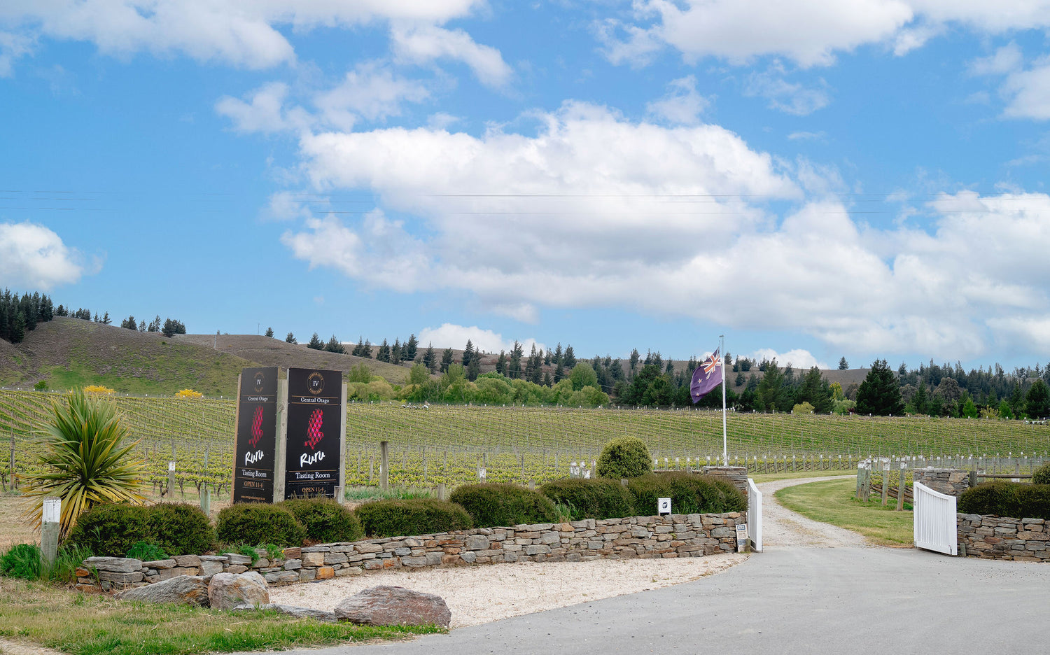 Gallery – Immigrant's Vineyard